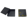 Western Blotting Boxes - MTC Bio