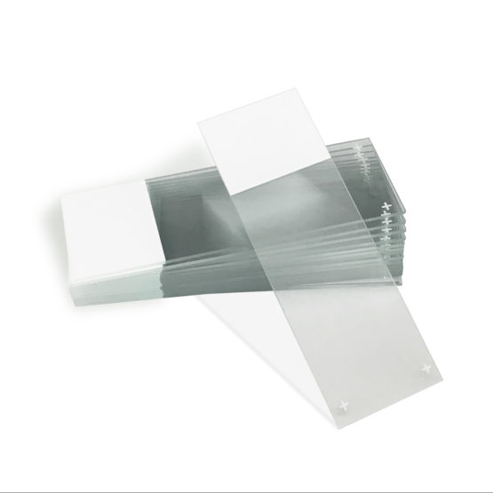 Positive Charged Microscope Slides - MTC Bio